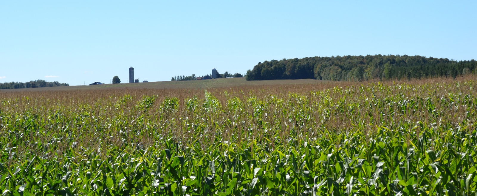 Municipalité de Wickham - Tourisme Centre-du-Québec