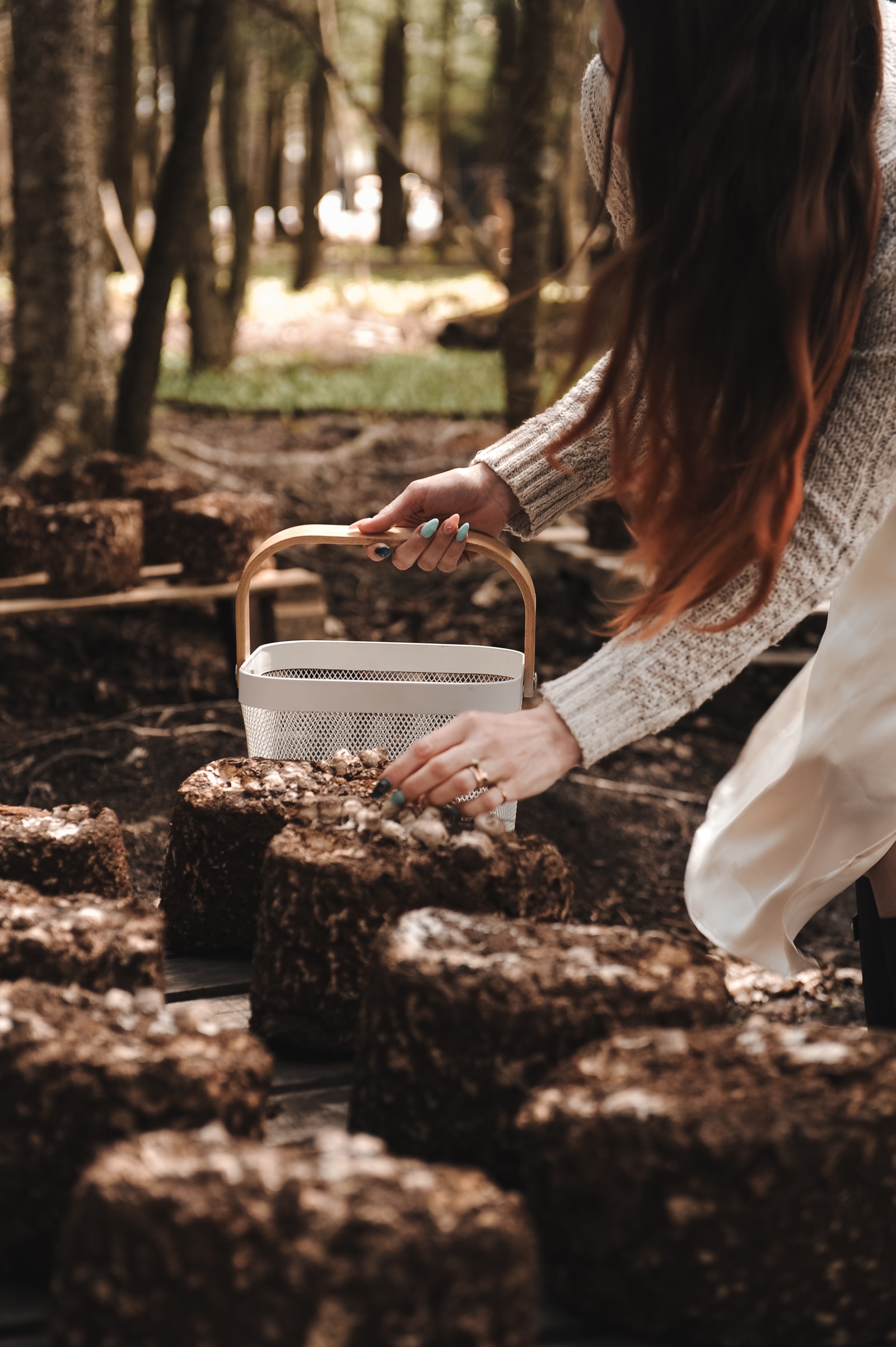 Magic Tingwick - Cueillette de champignons sauvages (Tingwick ...