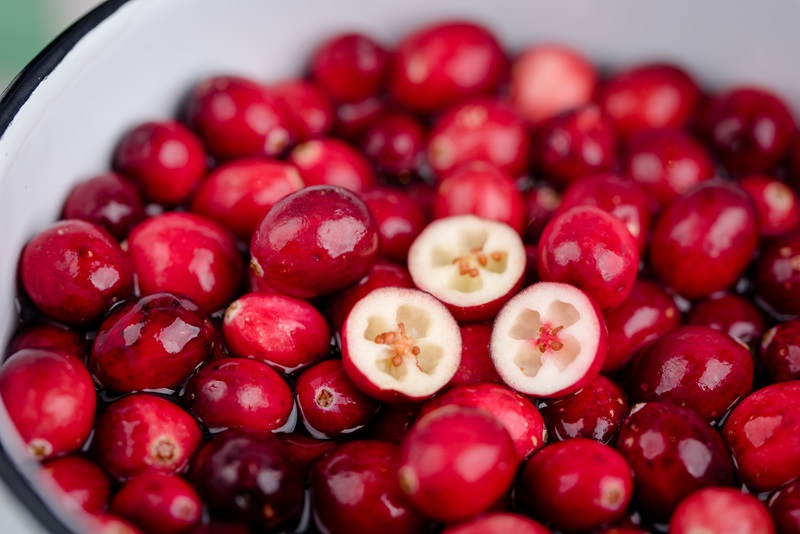 Centre d'interprétation de la canneberge (Canneberge en fête) (Saint ...